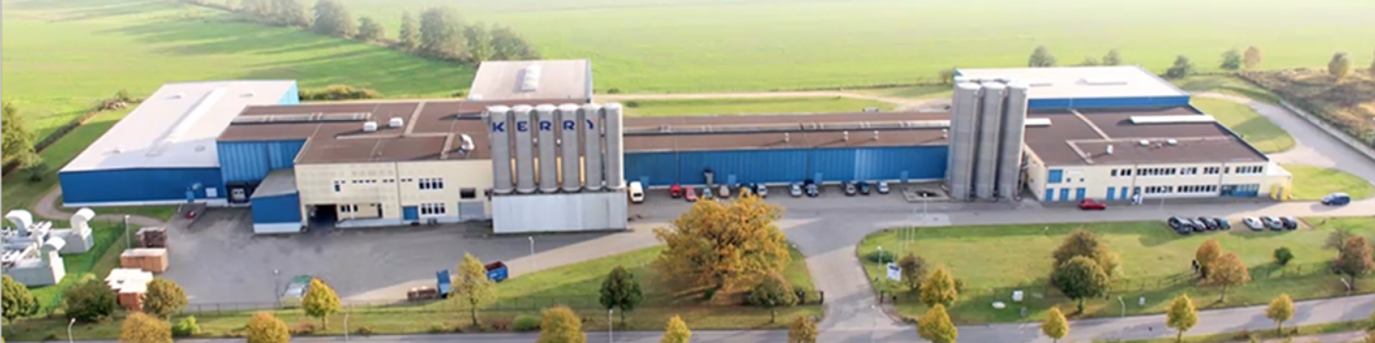 Kerry Ingredients Logo